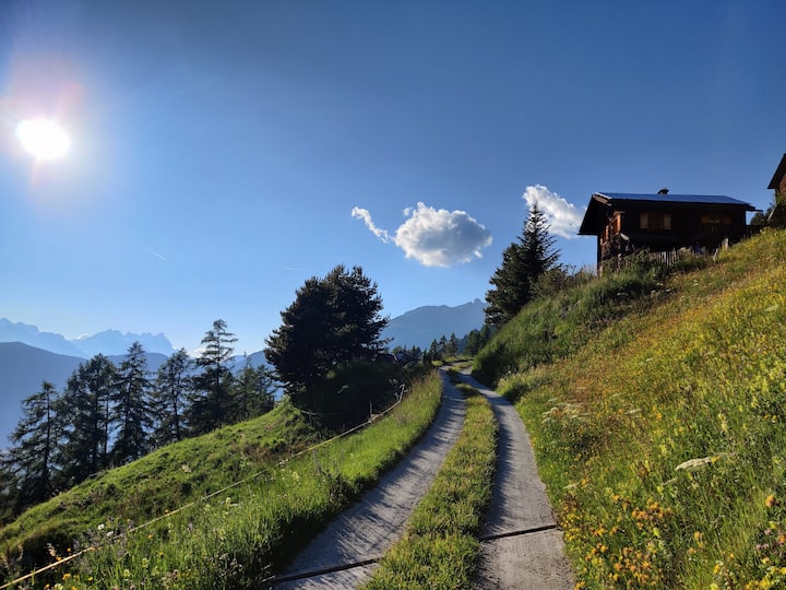 Petit Chalet - Mayen - Au Cœur De La Montagne - Verbier