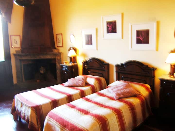La Casa Di Aurélie ... Per Sentirsi "A Casa". 3 - Sienne