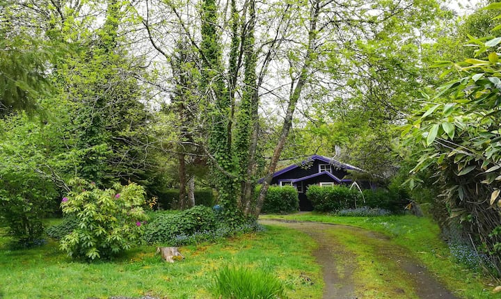 Amplia Cabaña En Lindo Parque A 6 Min Del Centro. - Llanquihue