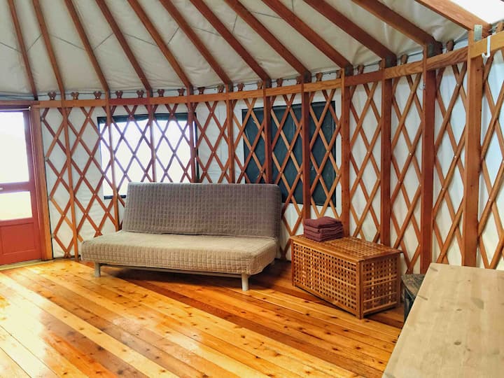 Top 4 Glamping Spots Near Tofino, Canada - Updated 2025 | Trip101