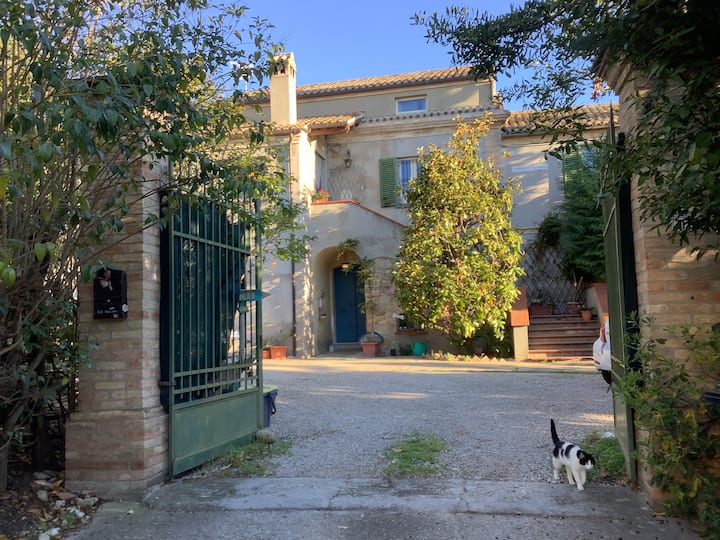 Hotel California - Silvi