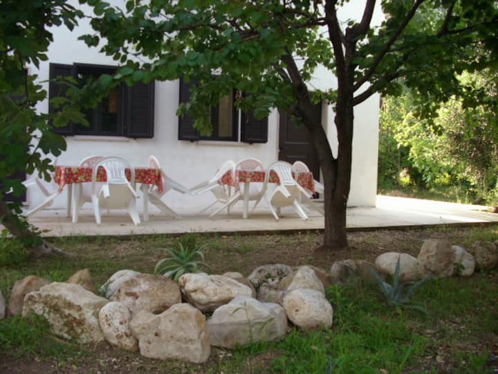 Appartamenti In Agriturismo Tra Ulivi E Agrumi. - Rodi Garganico