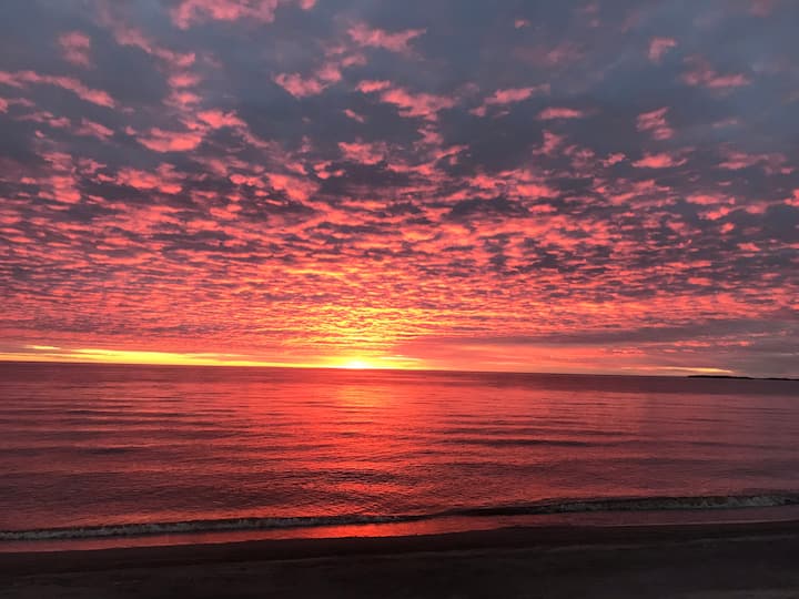 Front Of The Beach - Alma