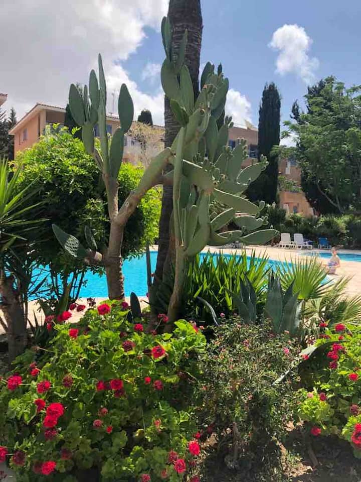 Апартаменты с бассейном, в 20 мин.ходьбы к пляжу. - Paphos