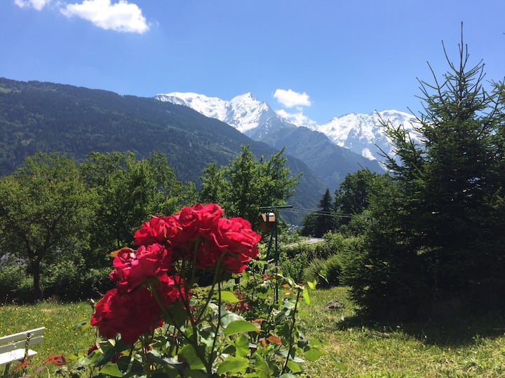 Joli Appartement Face Au Mont Blanc - Sallanches