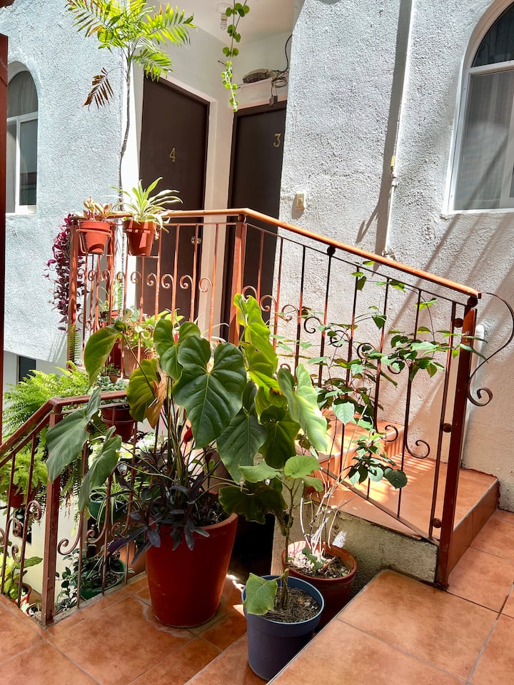 Juntos Pero No Revueltos - Oaxaca