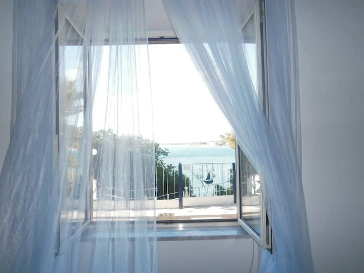 Dan Cilento - Agropoli