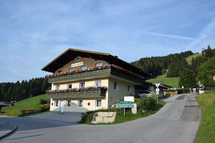 Brownies Apartment Andre 6 - Austria
