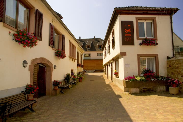 Le Petit Gîte Du Vigneron En Alsace - Alsace
