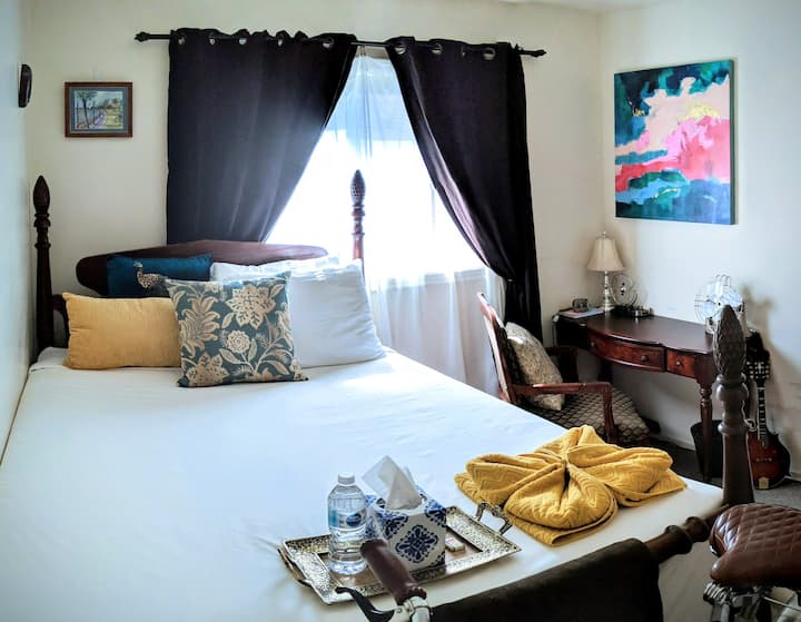 Classy Vintage/modern Smart Apt Near Dt/park/bus - カナダ キングストン
