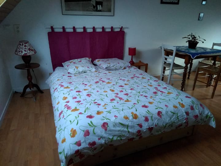Chambre Spacieuse, Avec Parking, Vannes Au Calme - Séné