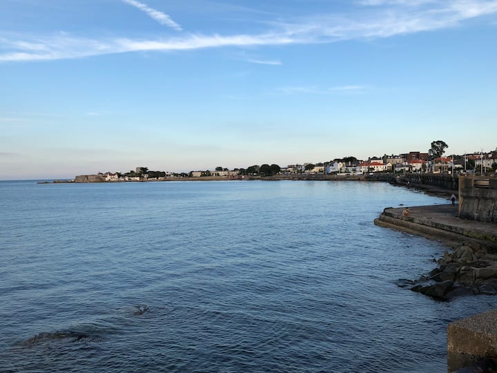 Delightful Seaside House In South Dublin/sandycove - Dublin