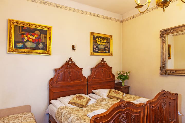 Antique Style Apartment M23 - Krakow