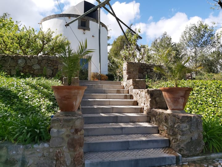 Historic Windmill With Splendid Views - Alentejo