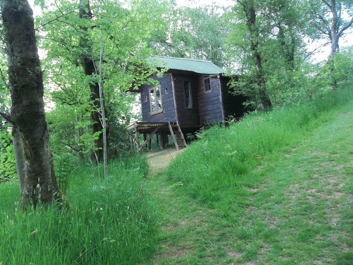 Wooden Cabin On Stilts  - A Tranquil Getaway - Carmarthenshire