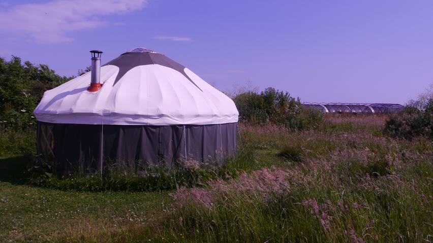 High Nature Yurt Camp - Small Yurt - Yurts for Rent in East Portlemouth ...