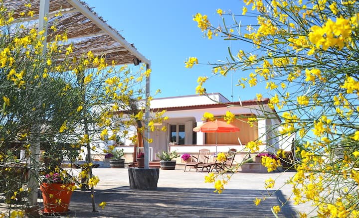 B&b Lune Normanne - San Vito dei Normanni