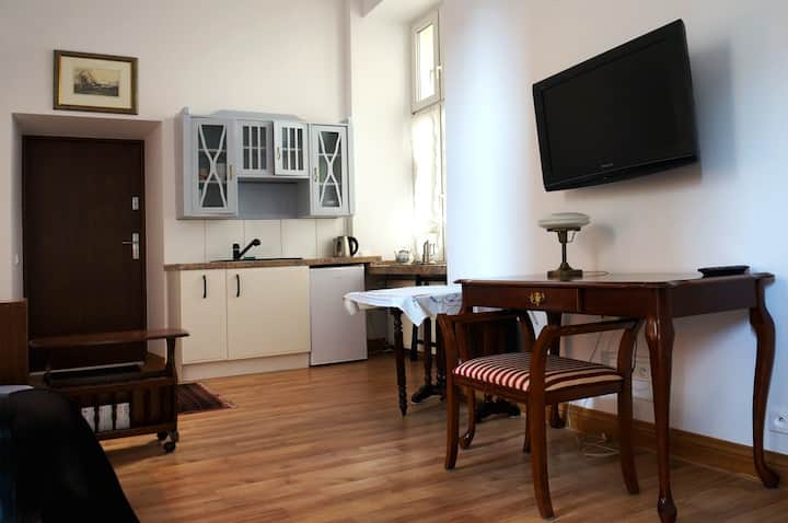 Central, Quiet, High Ceiling, Refurbished - Warschau