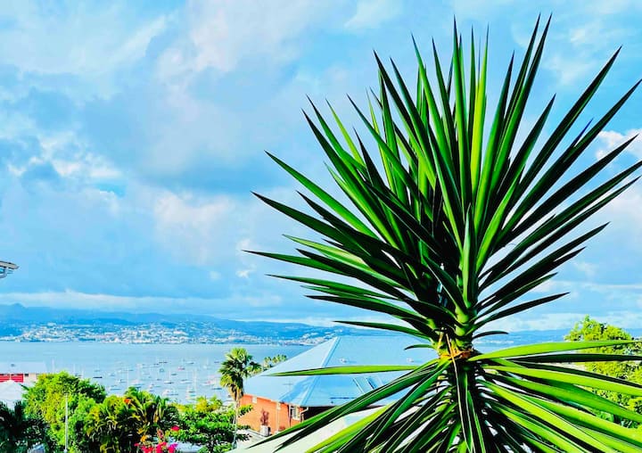 Sous Les Tropiques…vue Mer - Martinica