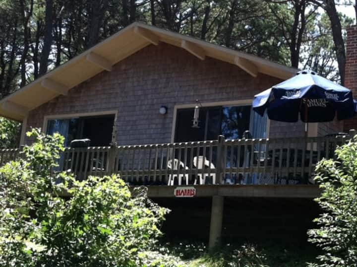 Indian Neck Area - Walk To Beach Location - Wellfleet, MA