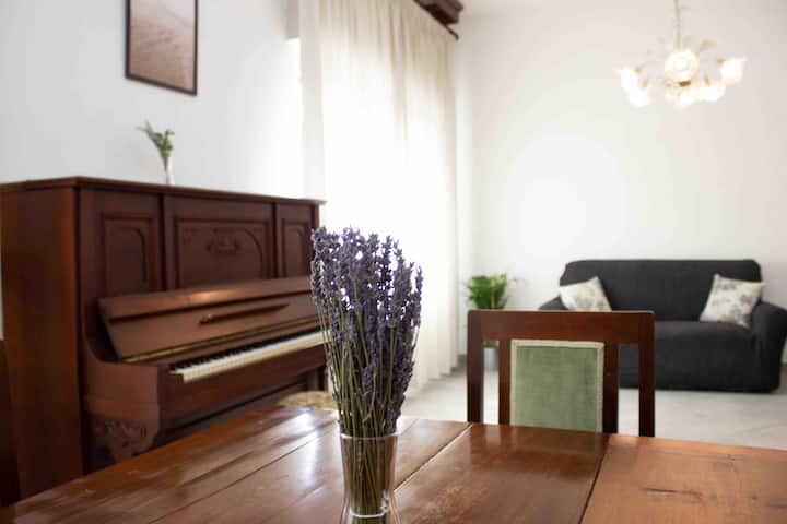 City Center Charm - Reserve Now! - Pisa