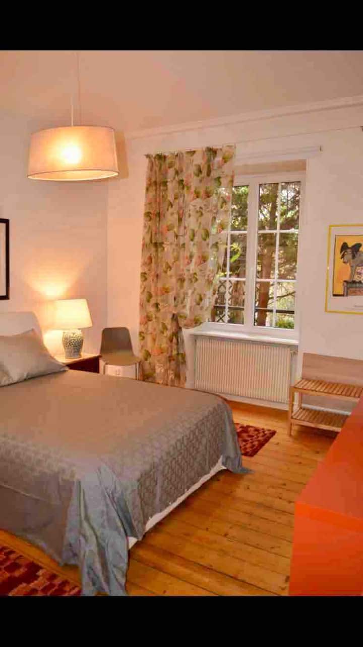 Appartement Decaractère Avec Vue Sur Jardin Arboré - Strasbourg