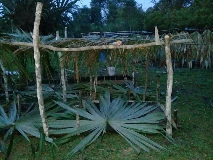 Mama Tina's Medicinal Rv Campsite & Farm - 벨리즈