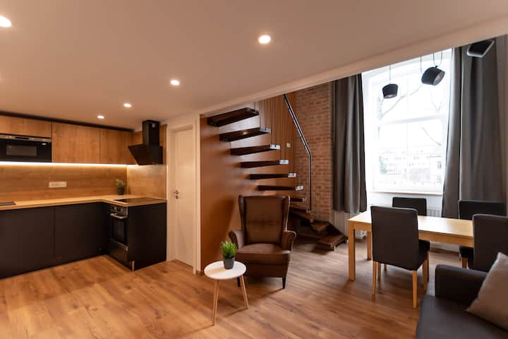 Bronz Loft In Center With Sauna And Parking - Slovénie
