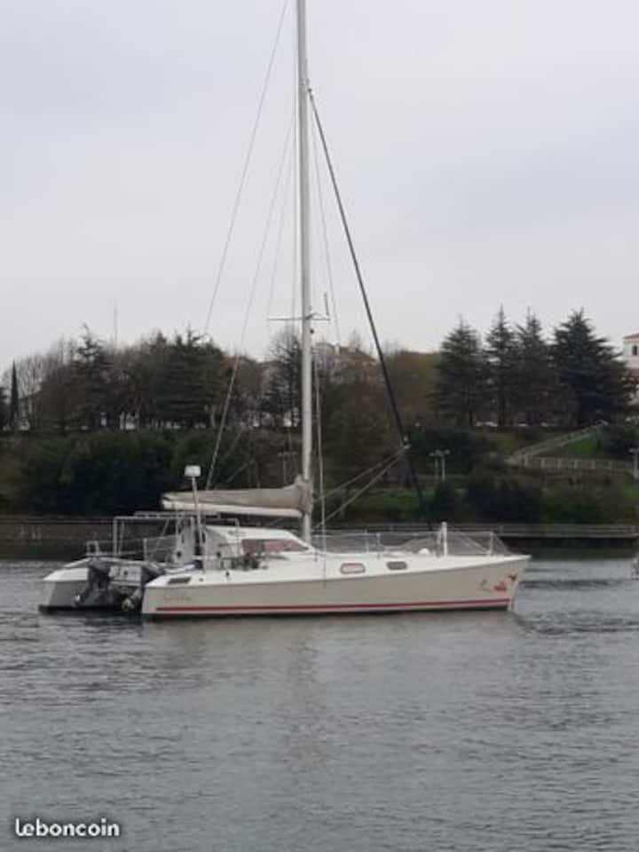 Colibri Catamaran Au Mouillage - Irun
