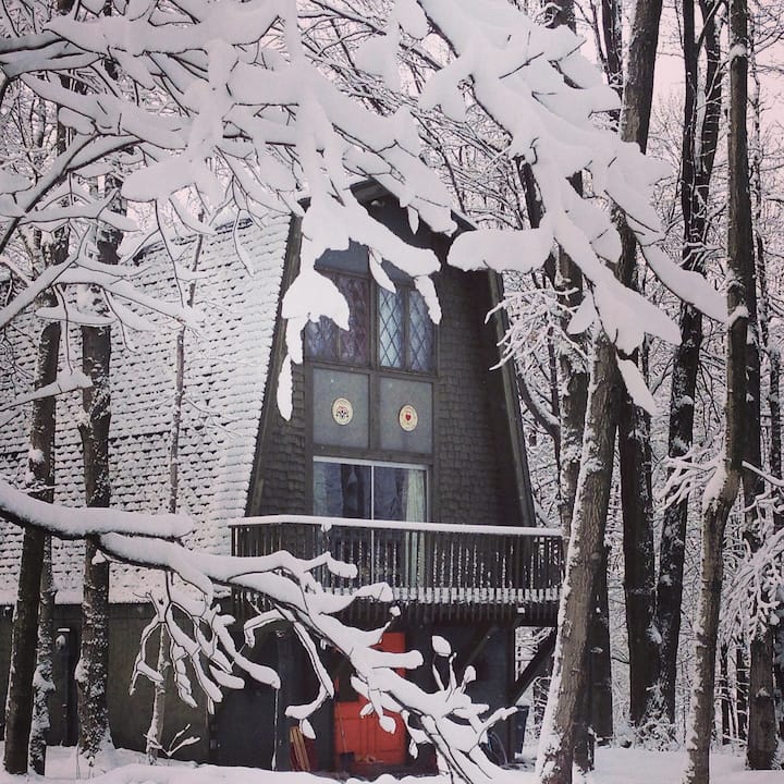 Mid Century Modern Chalet With Views Of Ski Hill - Harbor Springs, MI
