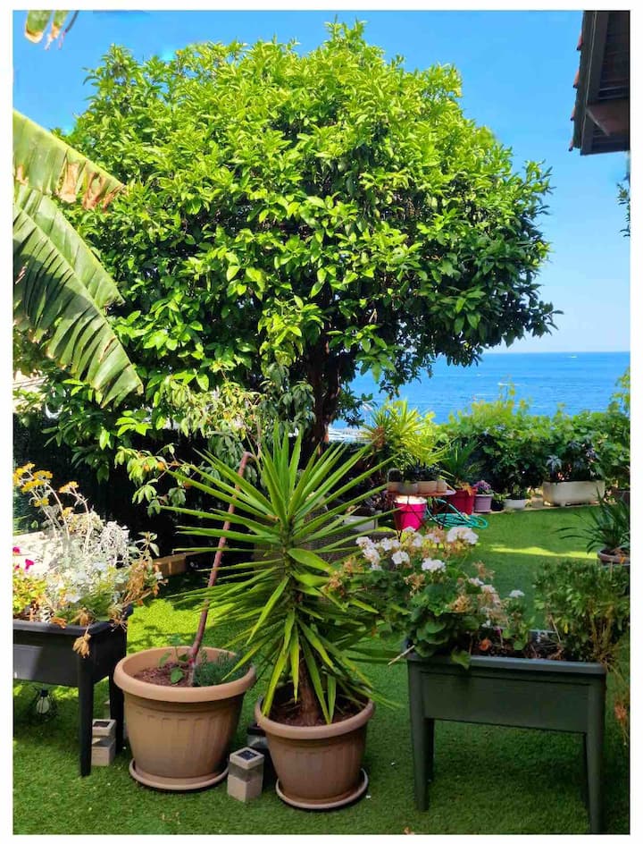 Studette Indépendante +Jardin à 200 M De Monaco - Èze
