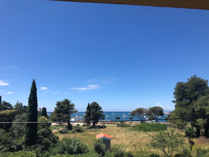 Apartment Joy - Umag