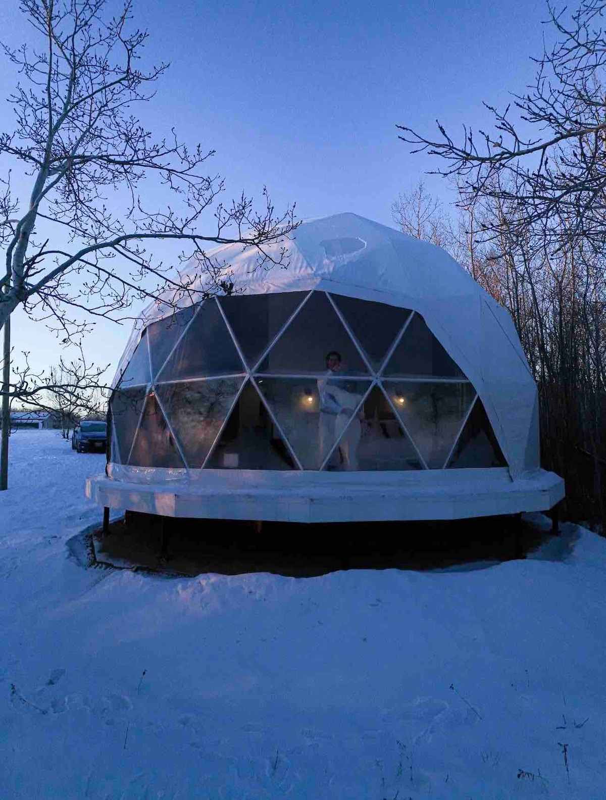 Spruce Dome at Wanderlust Domes - Dome houses for Rent in Dropmore ...