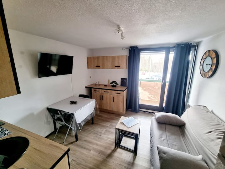 Appartement Station Les Rousses Du Haut Jura. - Les Rousses