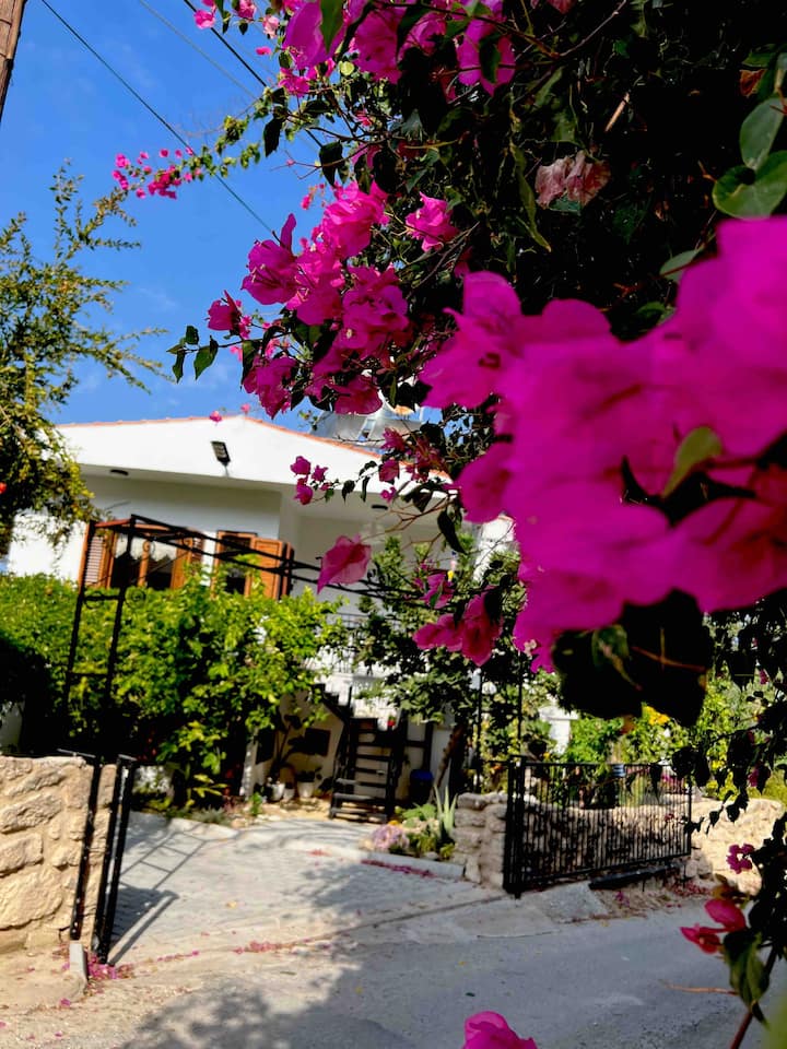 Almond Garden House - Cyprus