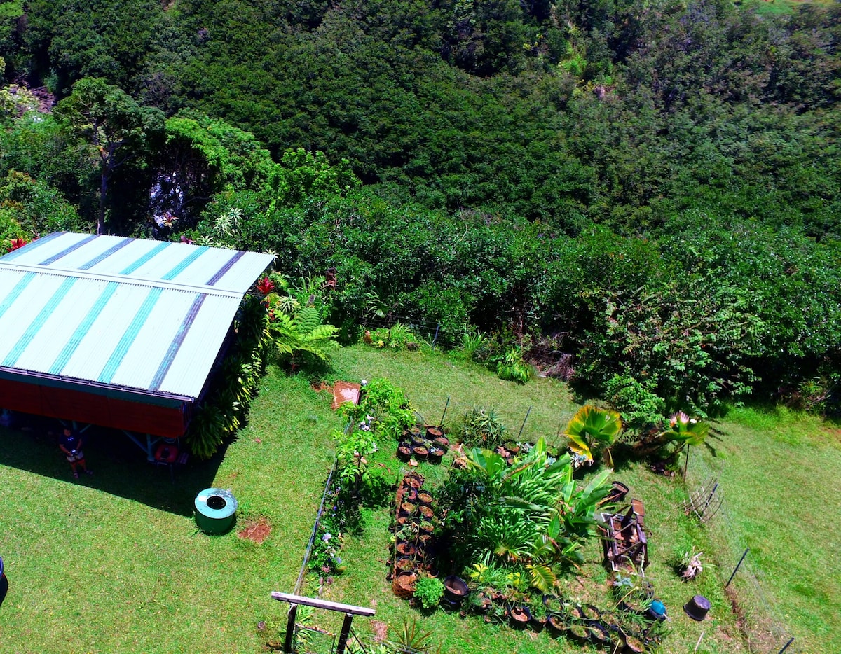 Aloha Nature Lovers - Farm stays for Rent in Hawaii County, Hawaii ...