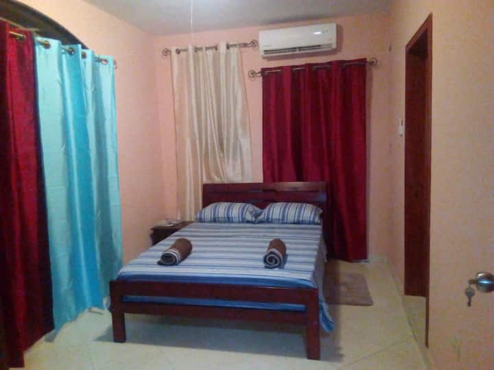 1 Bdr Apart:wifi,tv, Ac,fridge, Liv&din Rm,kitchen - Port-au-Prince
