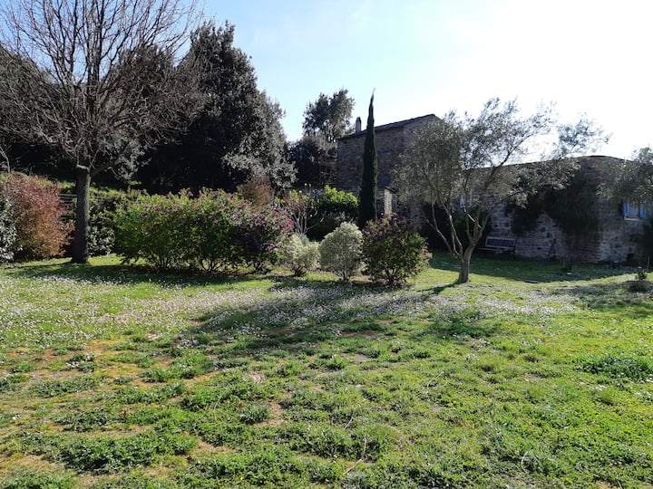 Merveillac Chambre2 - Saint-Florent