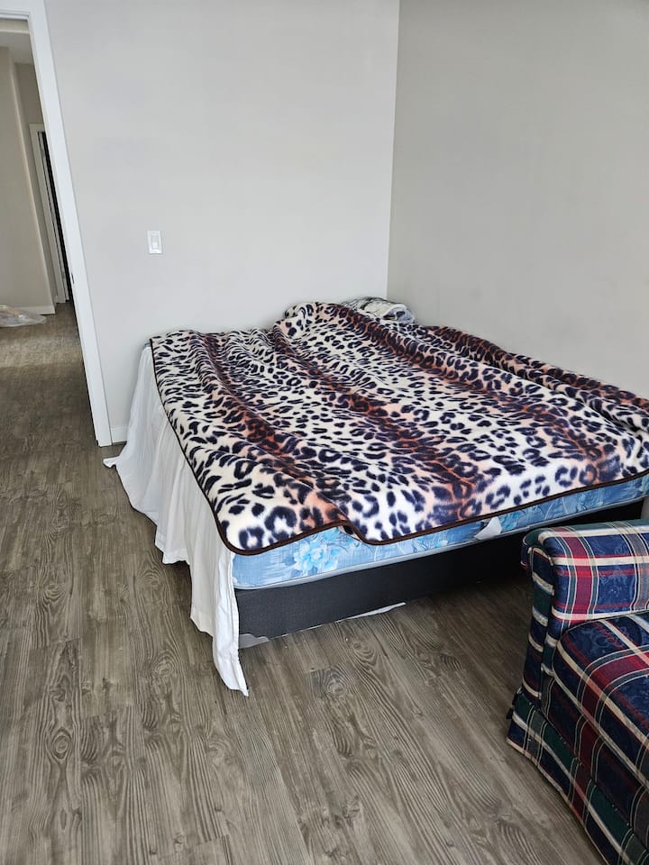 Room In Downtown Apartment. - Alberta