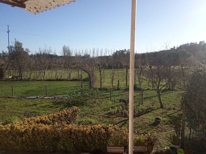 Casa Do Eirado - Pico Island