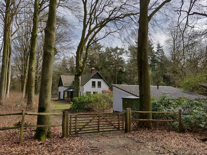"T Hofje Van Bieduinen - Cottage In The Woods - Kalmthout