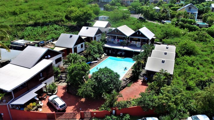 Le Cardinal Des Grands Bleus - T4 N°9 - Saint-Leu