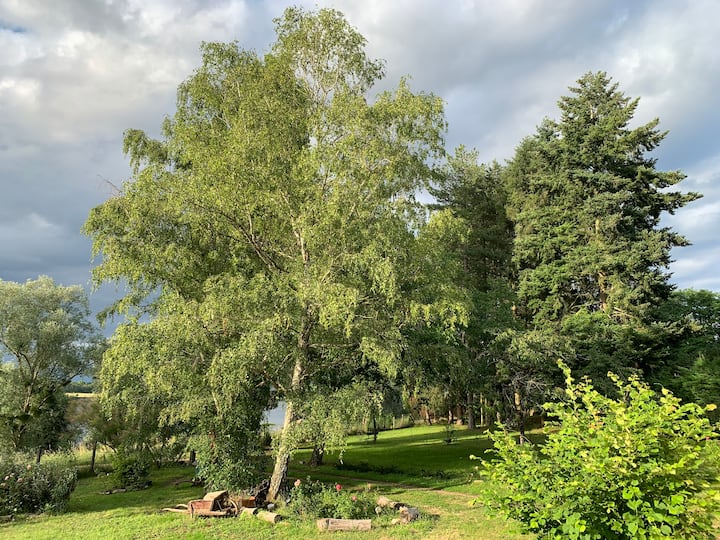 Chambre Avec Vue Privilégiée Sur Loire Deux - Muides-sur-Loire
