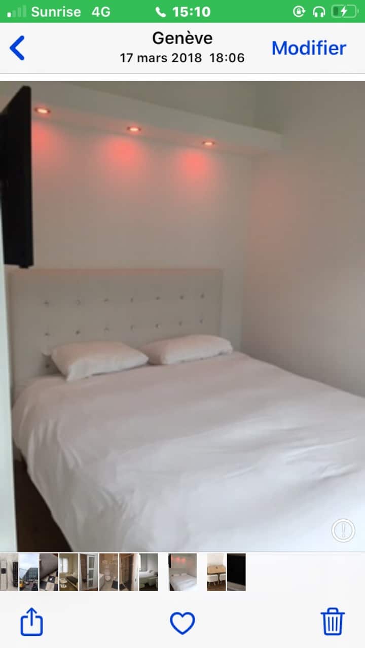 Appartement Magnifique  à 100 M Du Lac Free Wifi - Ginevra