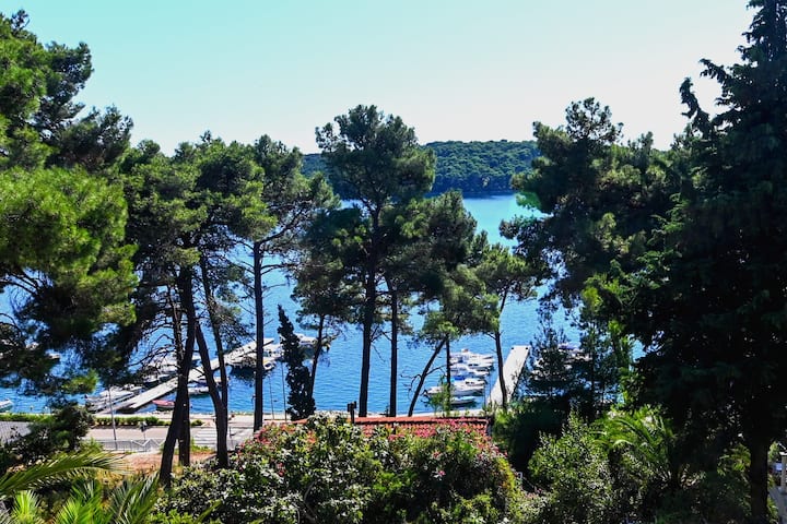 Lovely Studio Apartment Close To The Beach - Mali Losinj