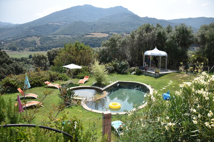 Chambre D'hôtes Climatisée Avec Piscine - Corse-du-Sud