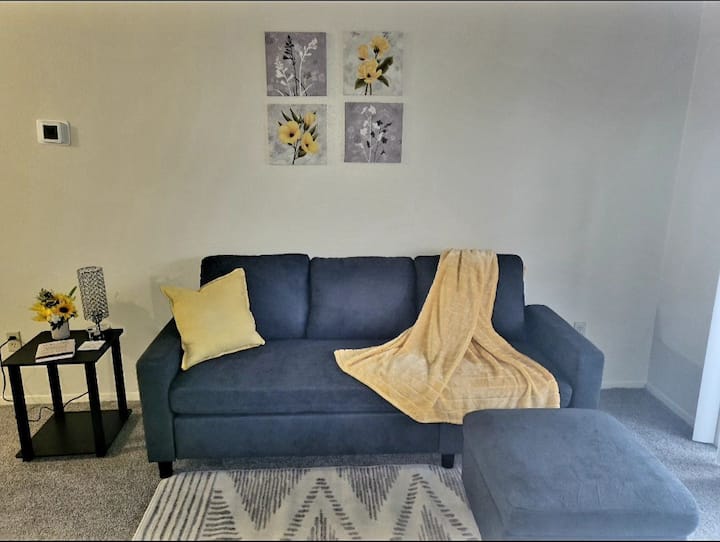 Lovely & Modern. 1 Bed Unit, Nurses Love It - Kalamazoo, MI