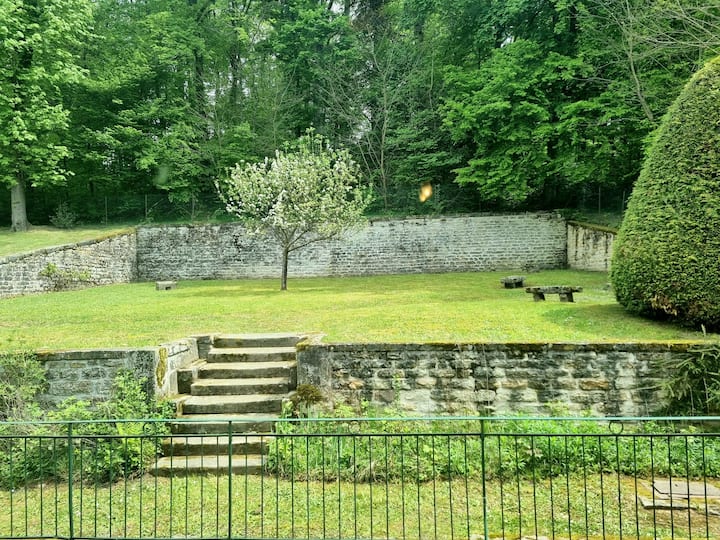 L'ourse, Epinal,très Bel Appartement Quartier Port - Épinal