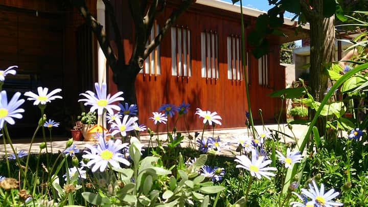 Departamento Selicki - Villa Gesell