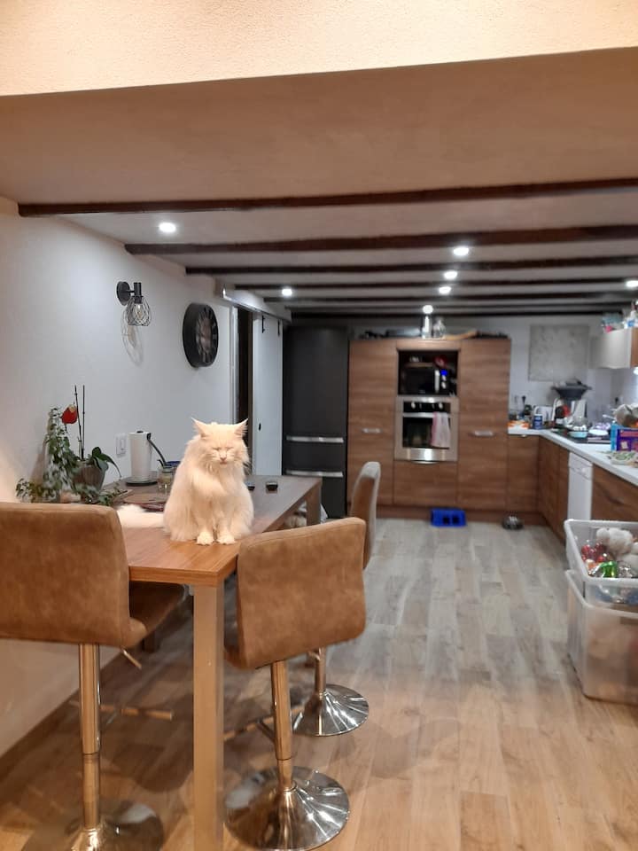Chambre Individuelle - Annecy